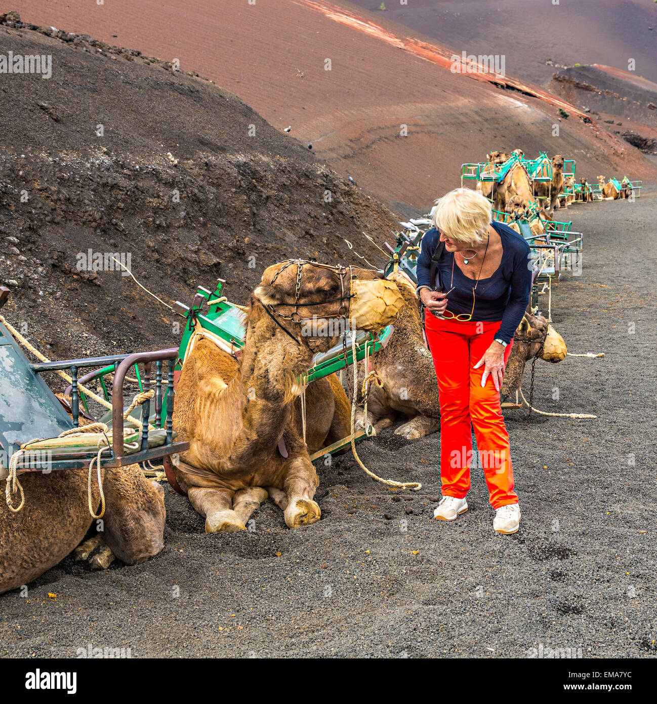 Caucasian woman riding camel hi-res stock photography and images - Alamy