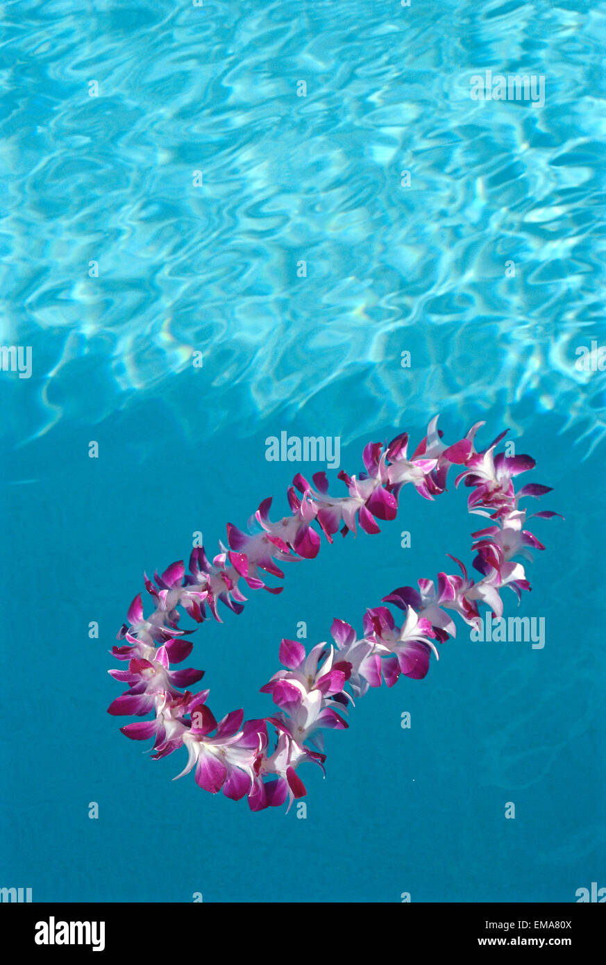 Water Reflections In Pool With Orchid Flower Lei Floating At Surface ...