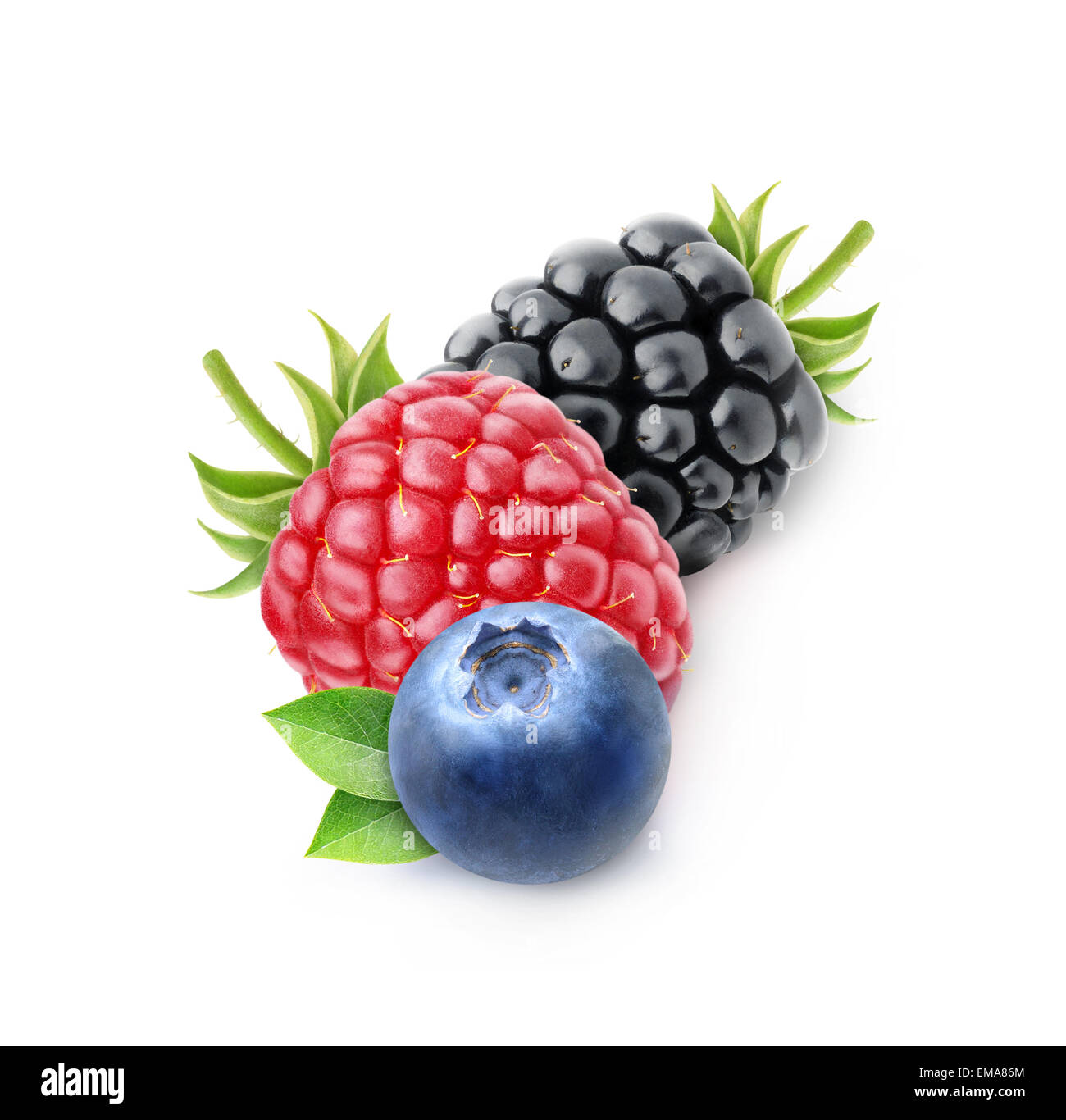 3 berries Cut Out Stock Images & Pictures - Alamy