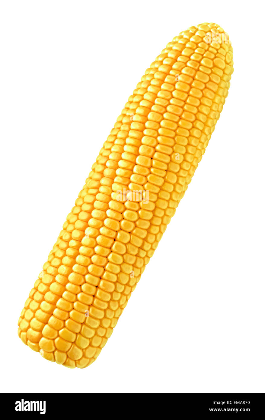 Isolate corn on white Cut Out Stock Images & Pictures - Alamy
