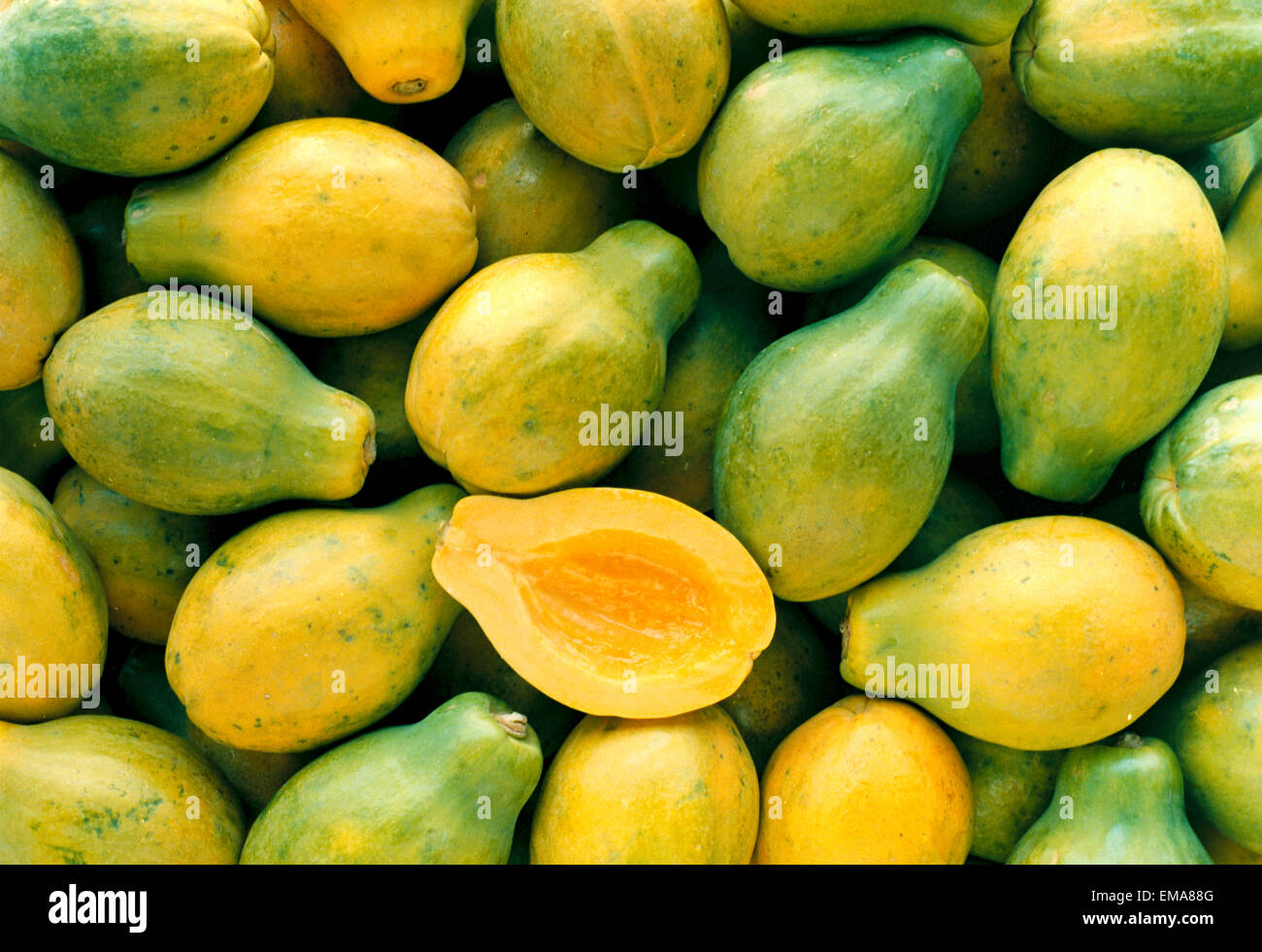 Many Papayas Colors, Yellow And Green, One Cut In Half C1171 Stock ...