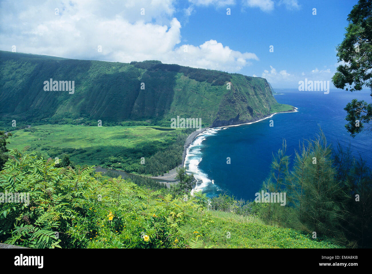Hawaii, Big Island, Hamakua Coast, Waipio Valley Lookout, Lush Greenery ...