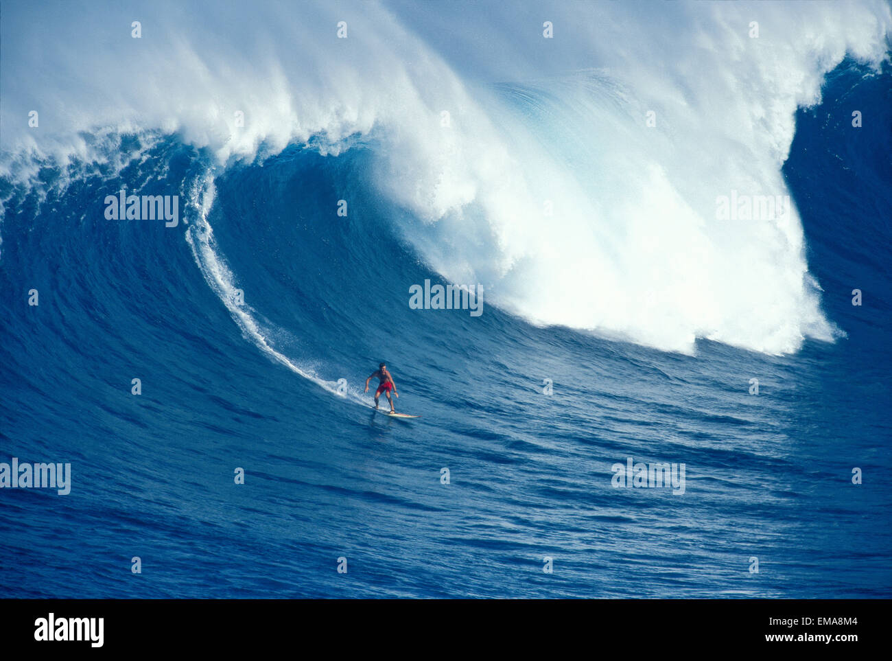 Emory board hi-res stock photography and images - Alamy