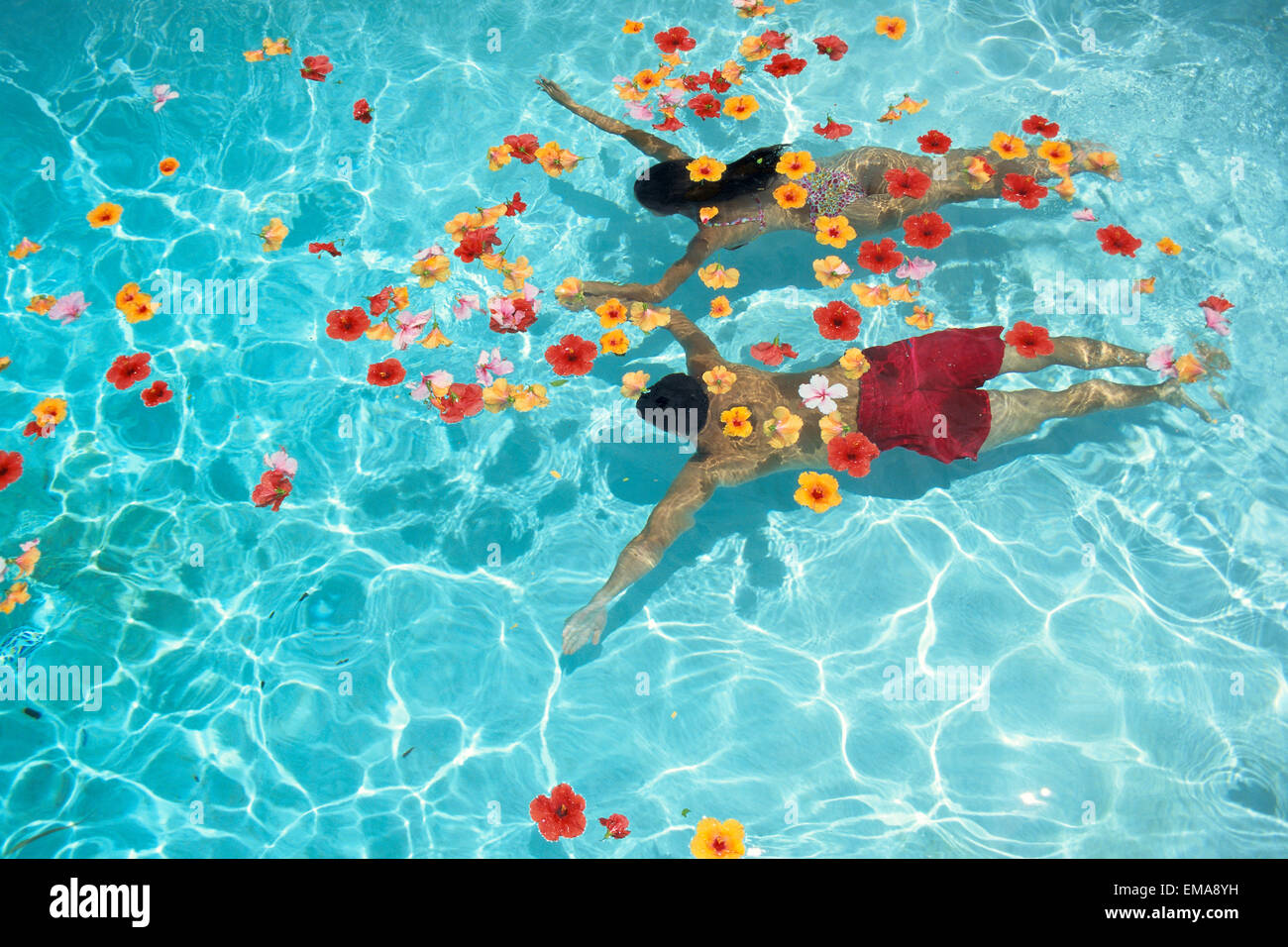 Couple Swim Underwater In Pool, Hibiscus Flowers Float At Surface, View ...