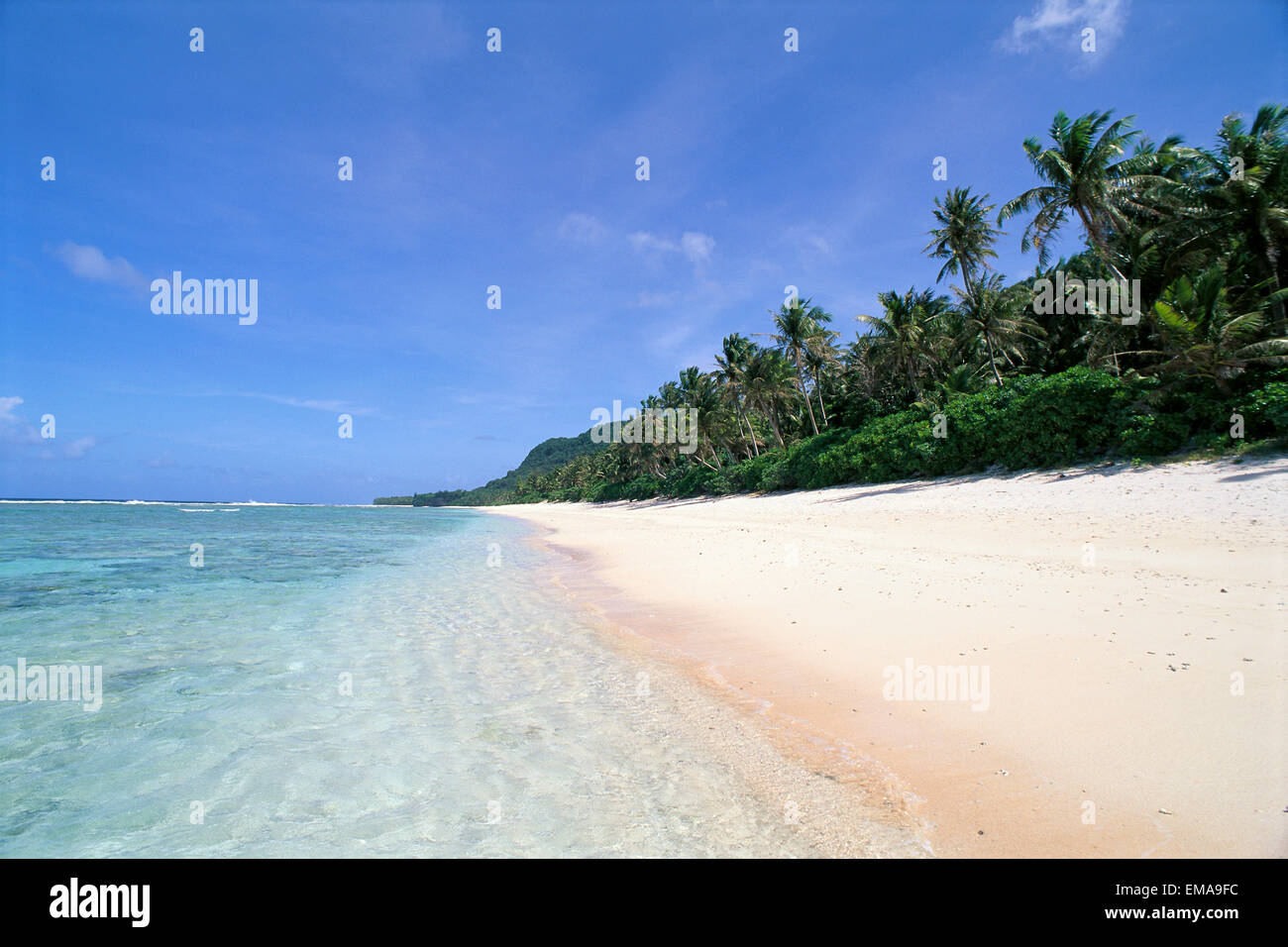 Guam beach palm tree hi-res stock photography and images - Alamy