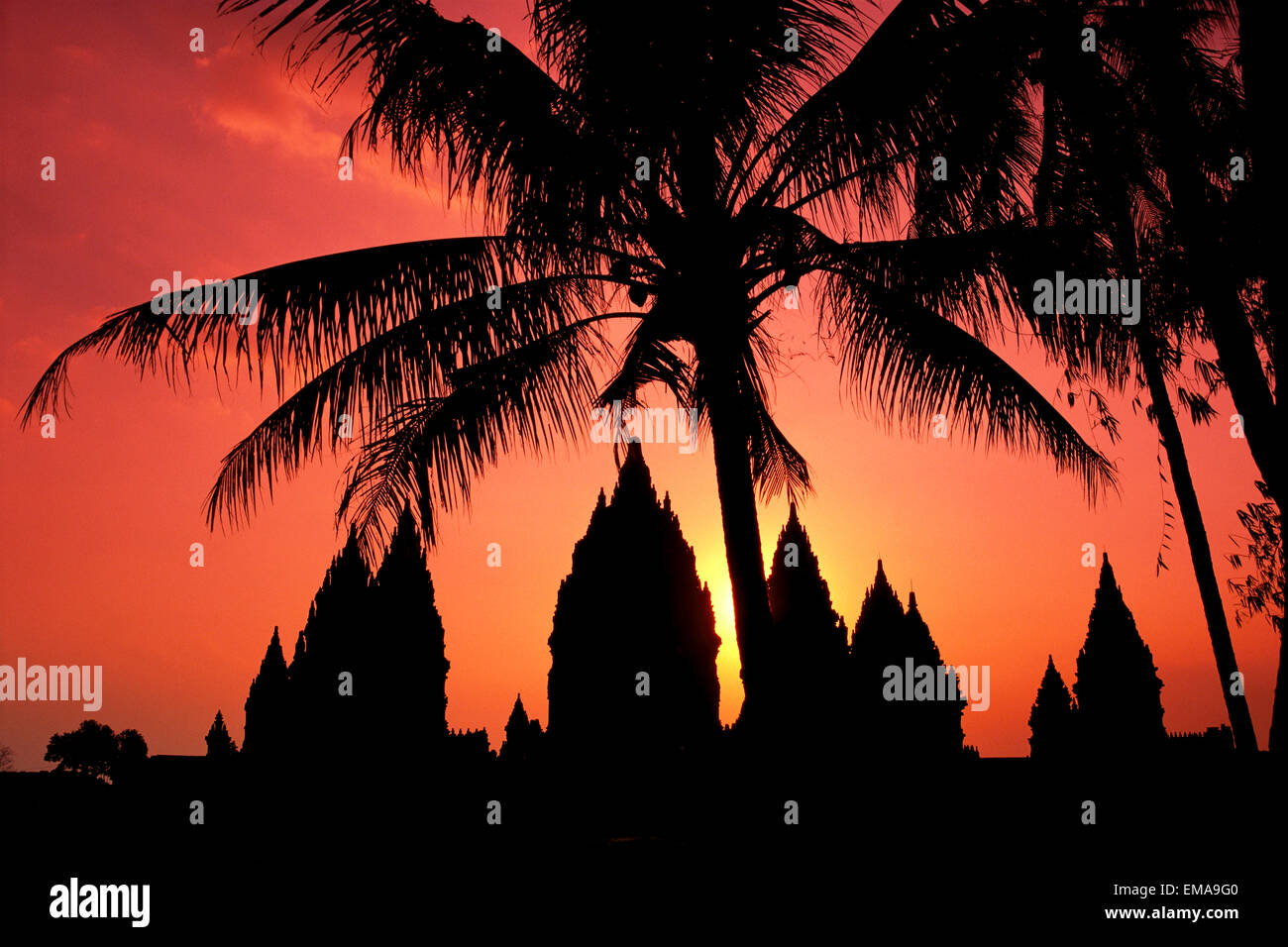 Indonesia, Java, View Of Palm Trees And Buildings Silhouetted At Sunset ...