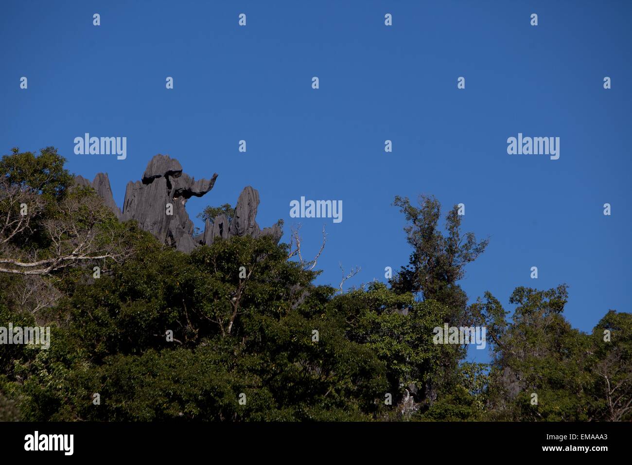 New Caledonia, autosufficient Goopa Gohapin North Tribe, in Poya Stock ...