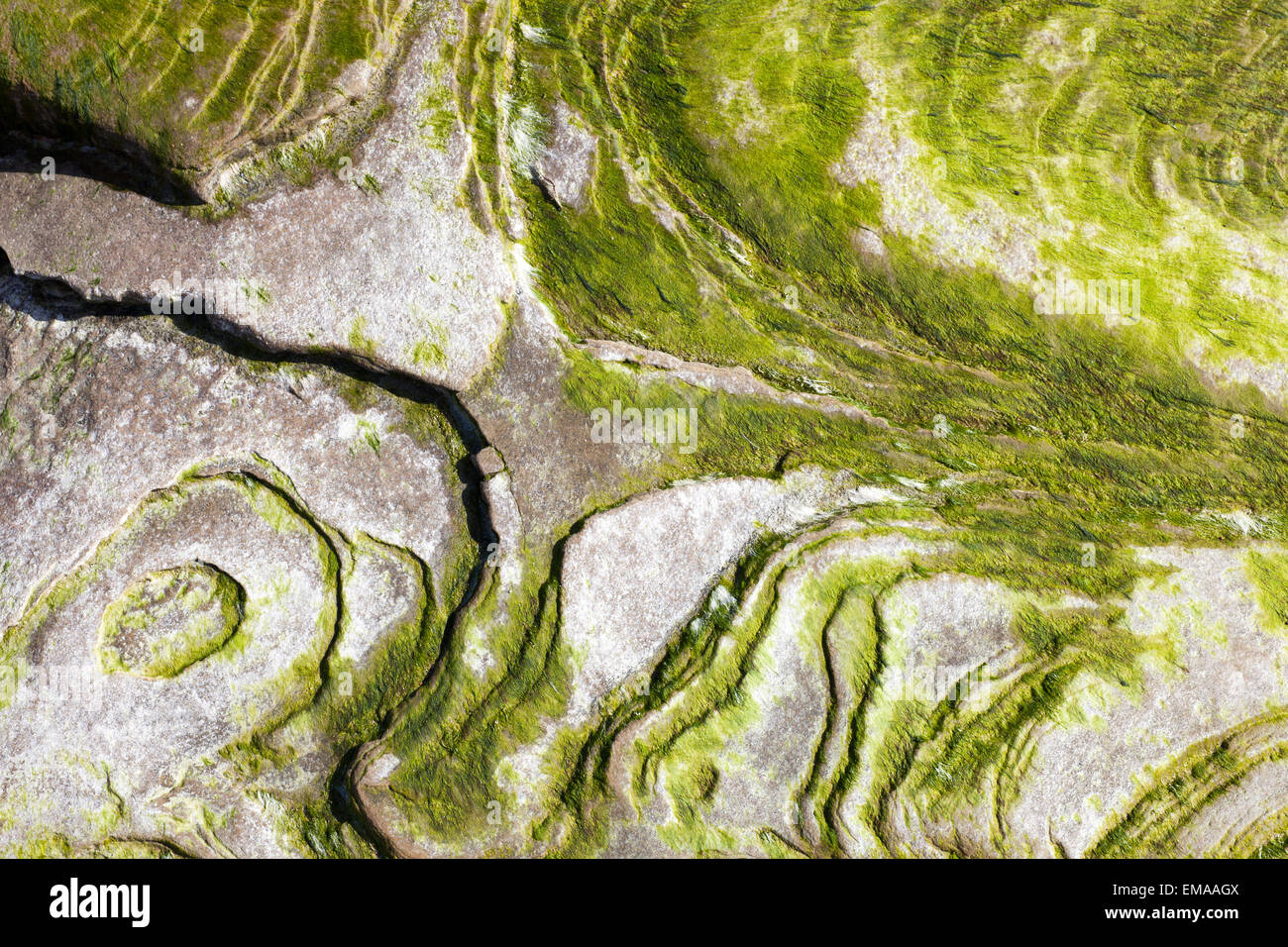 Slimy rock texture hi-res stock photography and images - Alamy