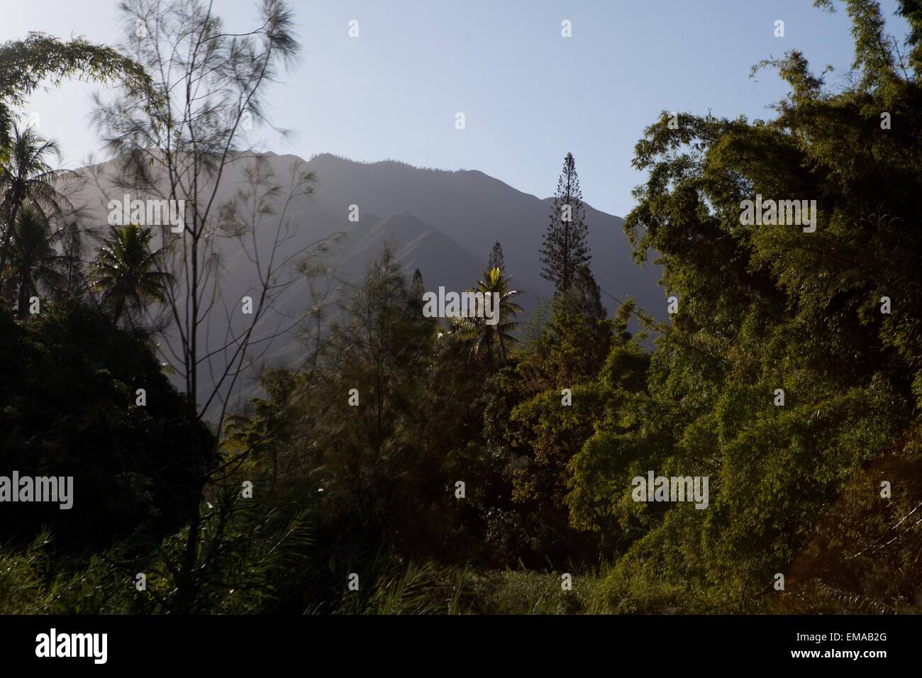 New Caledonia, autosufficient Goopa Gohapin North Tribe, in Poya Stock ...