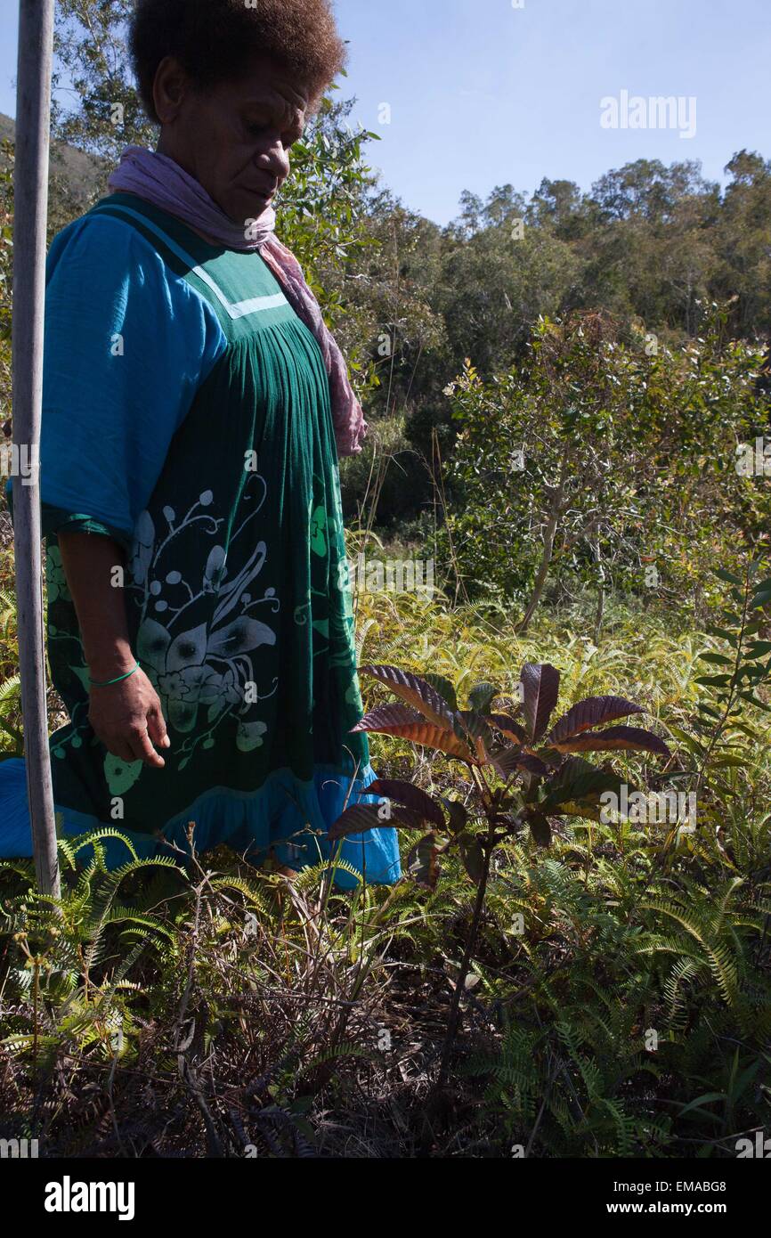 New Caledonia, autosufficient Goopa Gohapin North Tribe, in Poya, woman ...