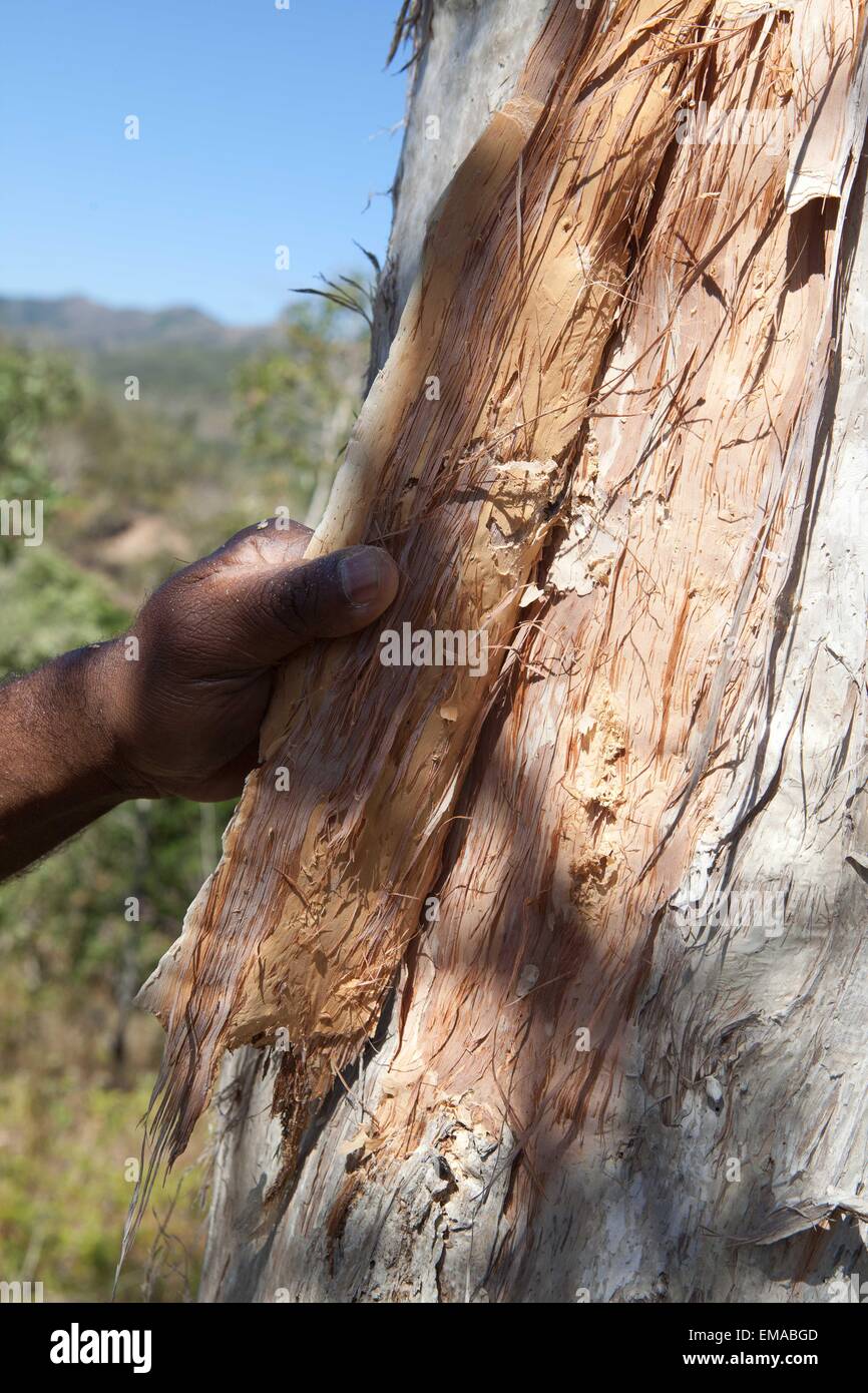 Self developement hi-res stock photography and images - Alamy