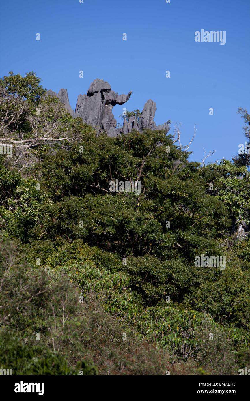 New Caledonia, autosufficient Goopa Gohapin North Tribe, in Poya Stock ...