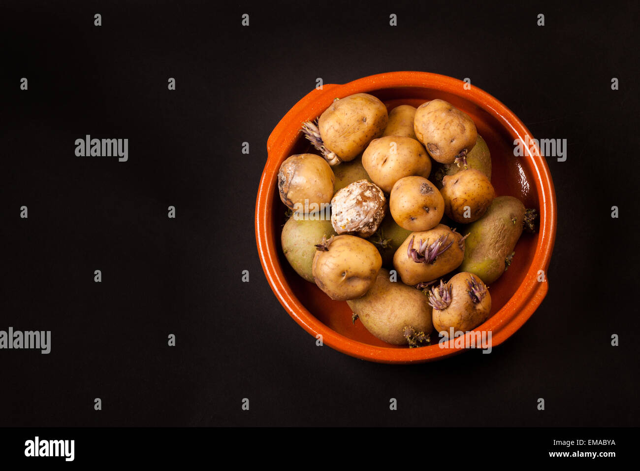 Rotten Potatoes High Resolution Stock Photography and Images - Alamy