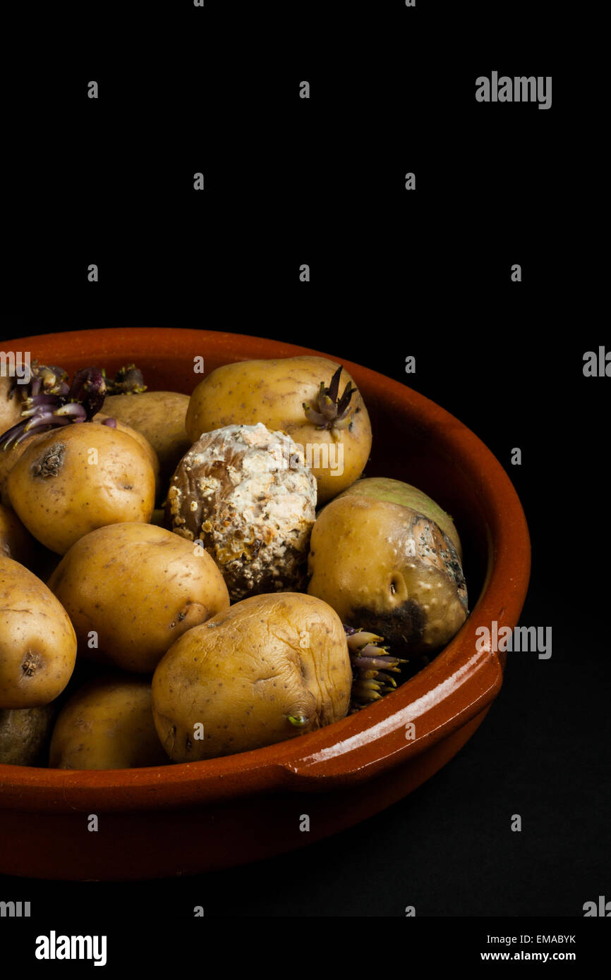 Rotten potatoes hi-res stock photography and images - Alamy