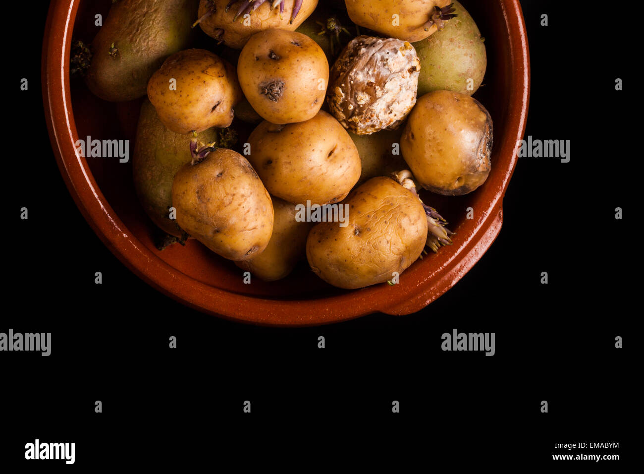Rotten Potatoes High Resolution Stock Photography and Images - Alamy
