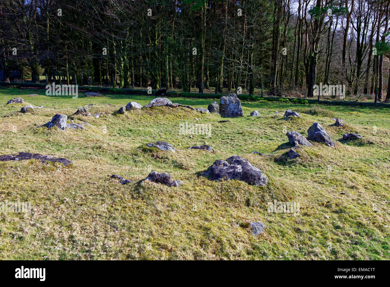 Bronze Age hut circle on Harford Moor (part of Dartmoor) in Devon ...