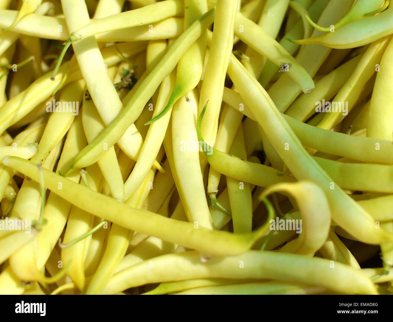 yellow wax beans - background Stock Photo - Alamy