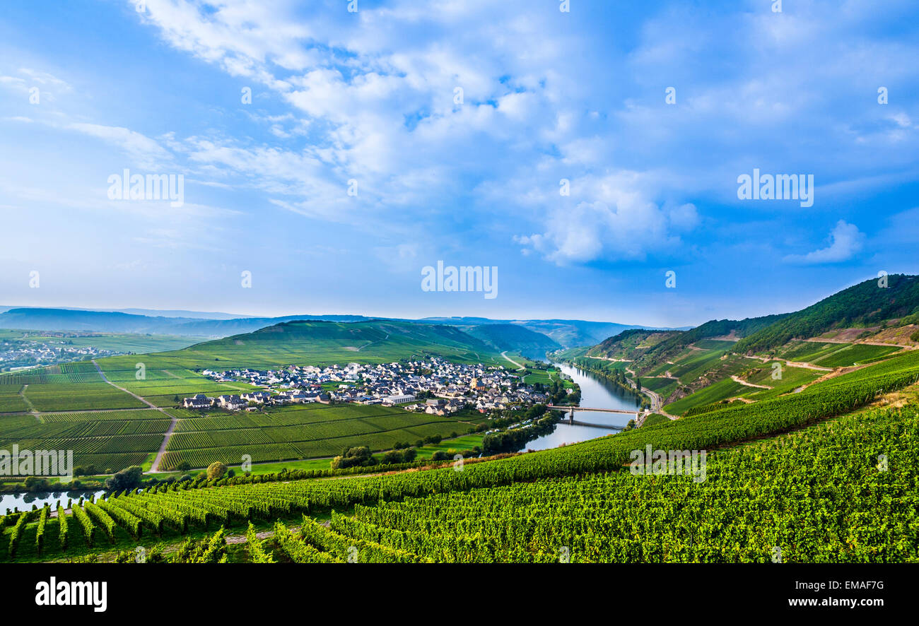 Trittenheim hi-res stock photography and images - Alamy