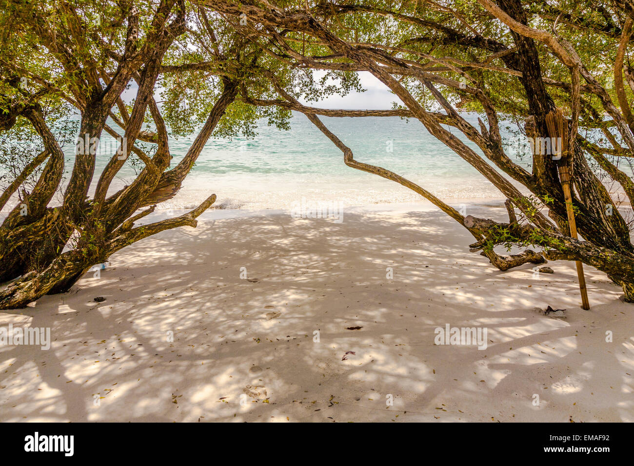 tropical beach in Koh Samet, Thailand with trees Stock Photo - Alamy