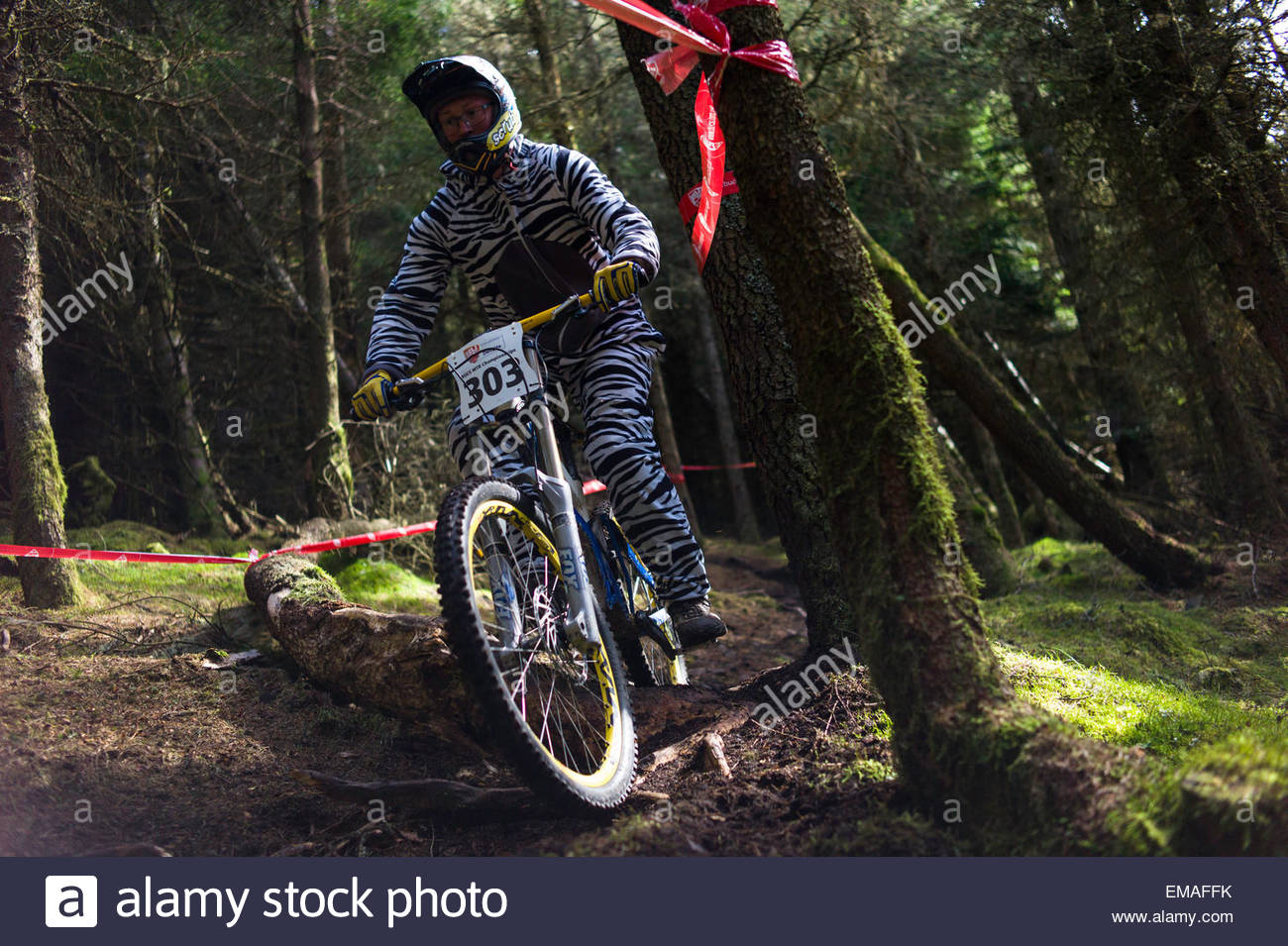 Innerleithen Biking High Resolution Stock Photography and Images - Alamy