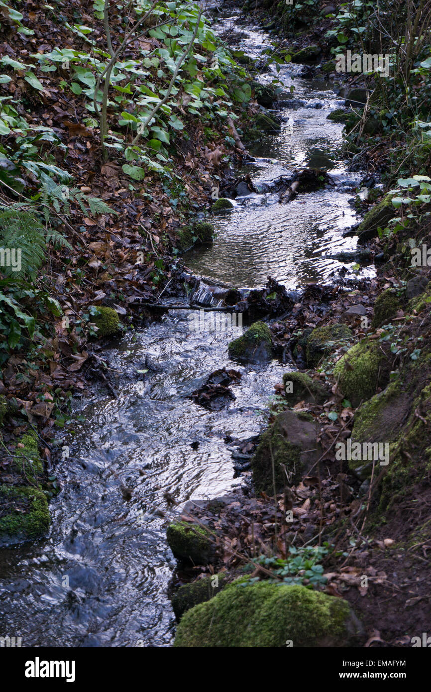Water river stream burn hi-res stock photography and images - Alamy