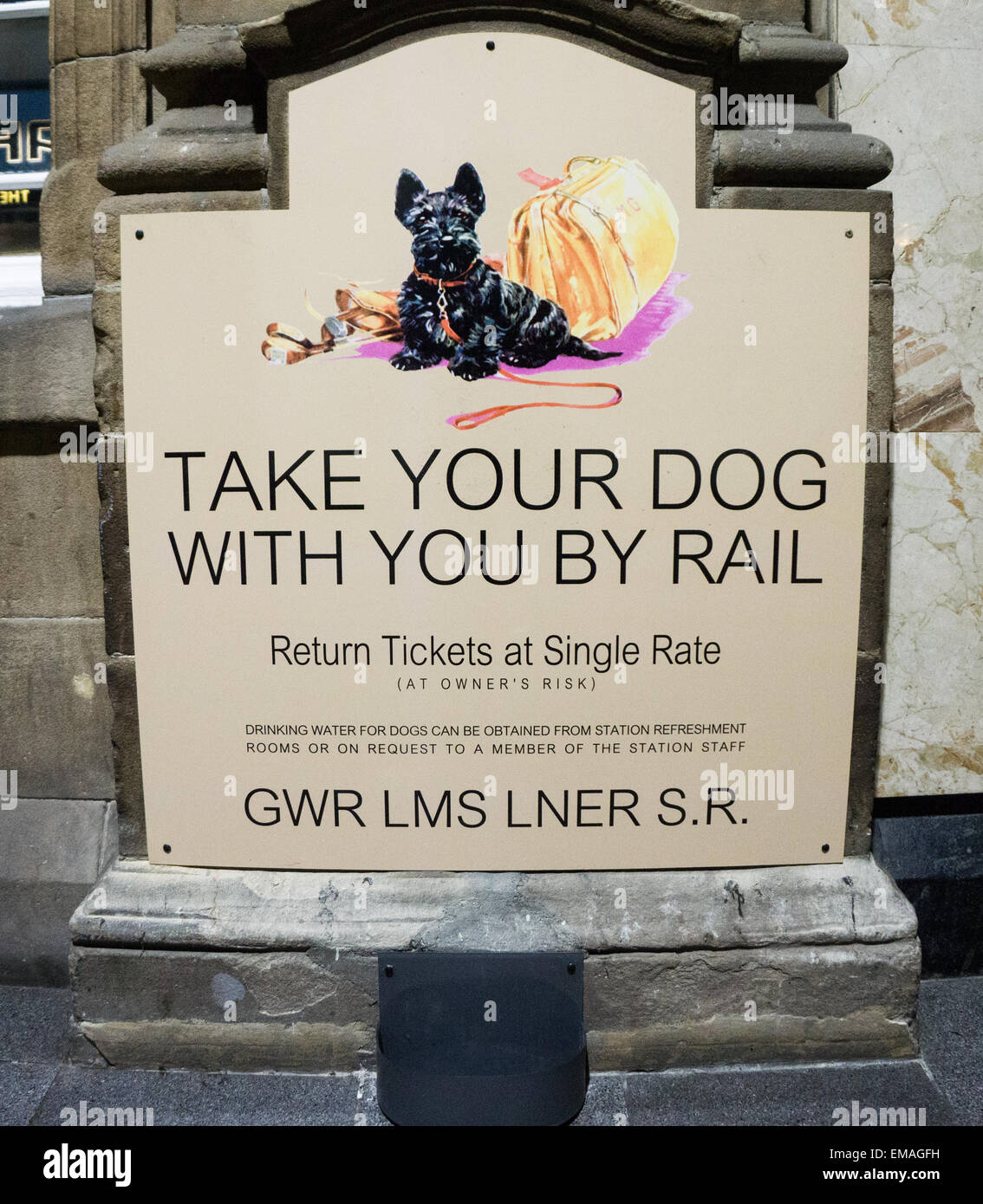 Can You Bring Your Dog On A Train