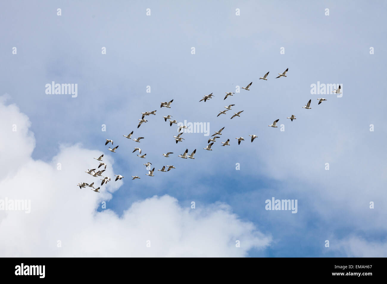Flying north hi-res stock photography and images - Alamy