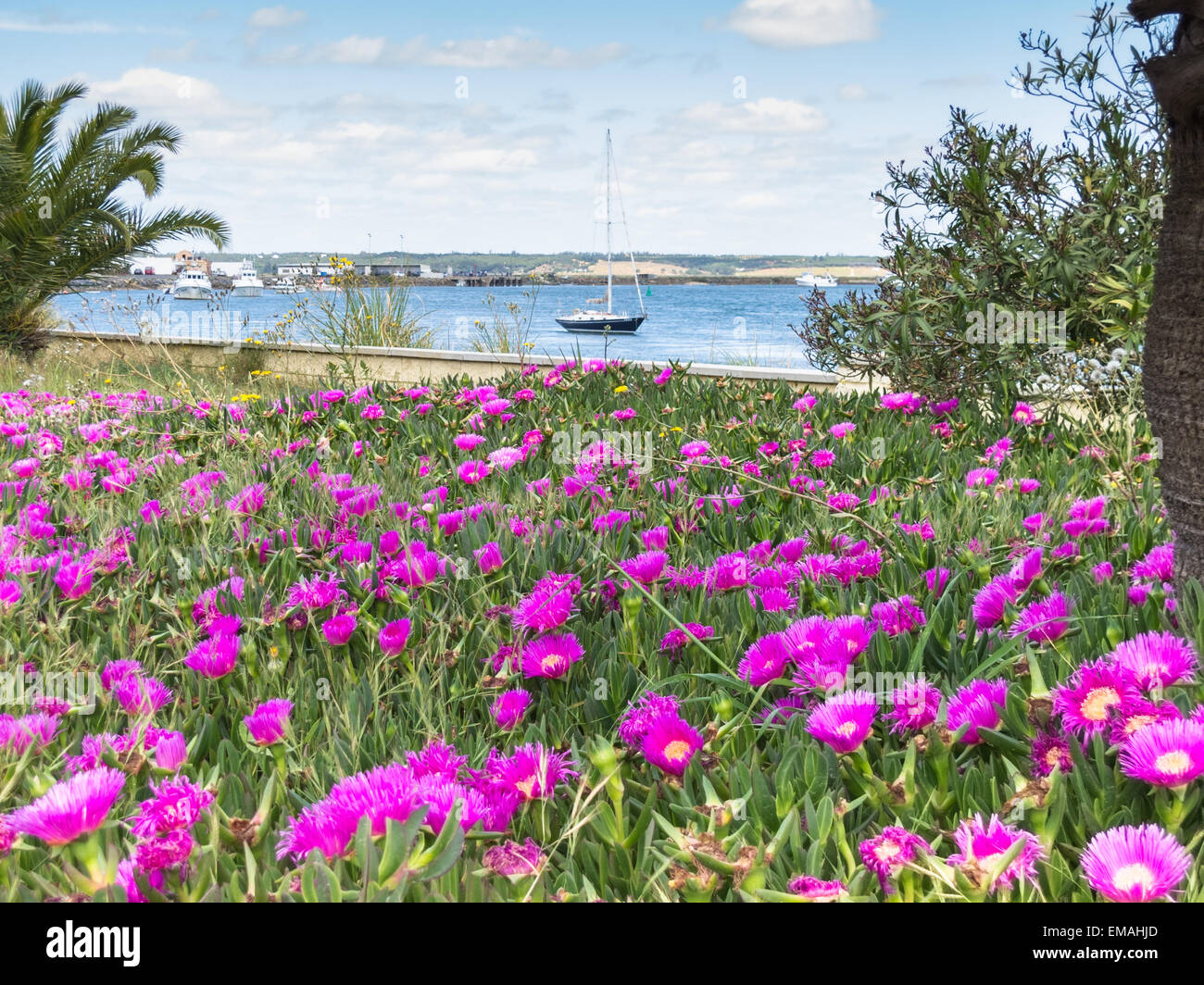 Punta de Moral, Spain. 18th April, 2015. Beautiful weather in Anadlucia ...