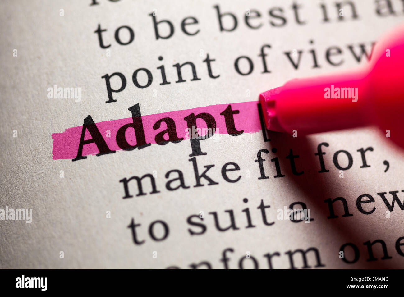 Fake Dictionary, Dictionary definition of the word adapt Stock Photo ...