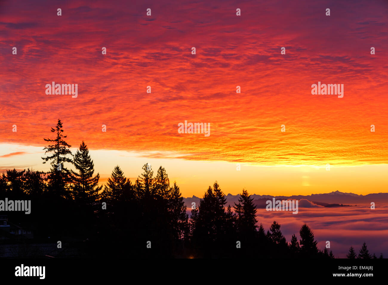 Golden glow sun in hi-res stock photography and images - Alamy