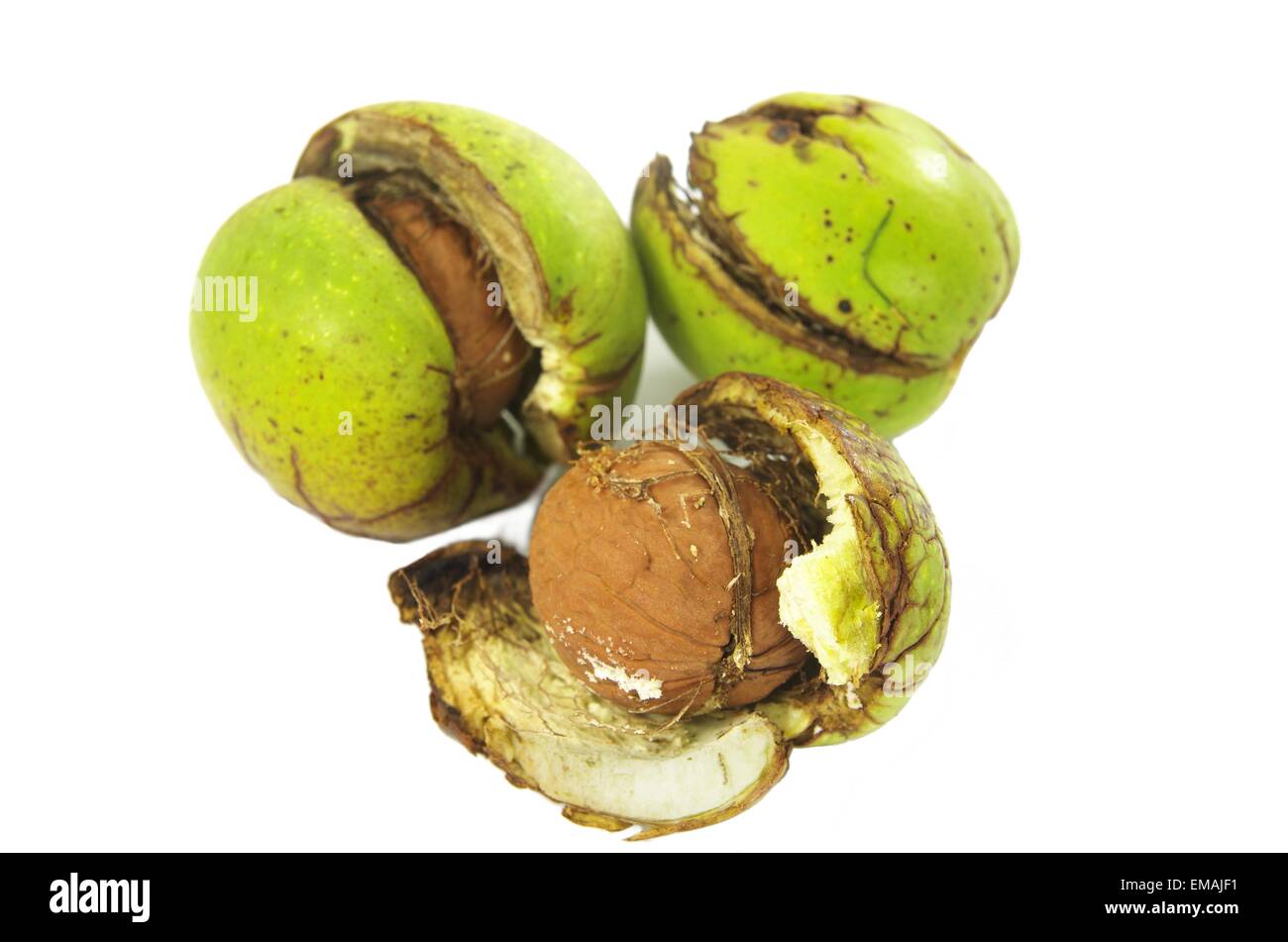 Walnut and walnut shell walnut hi-res stock photography and images - Alamy