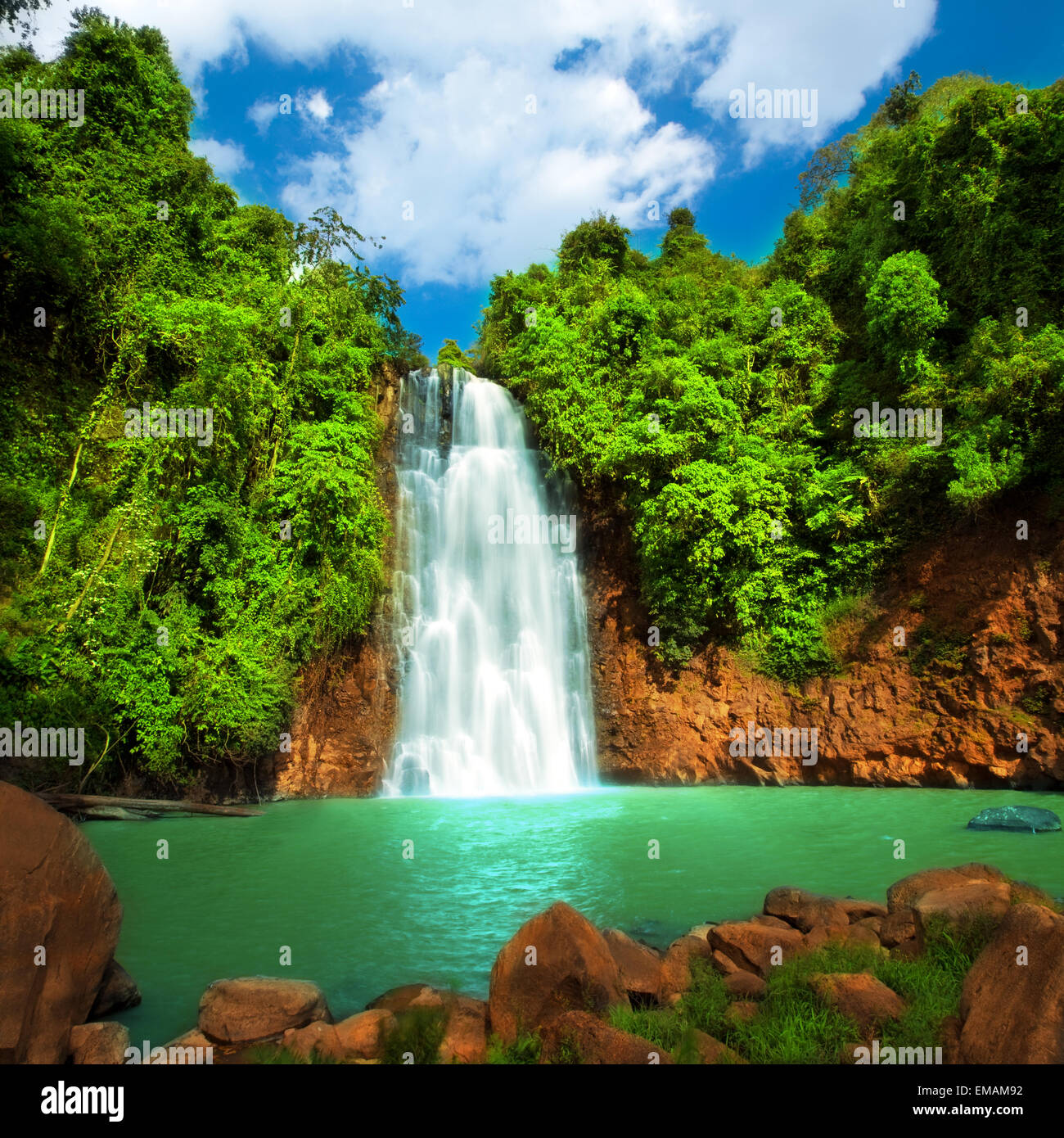 Waterfall in rain forest Stock Photo - Alamy