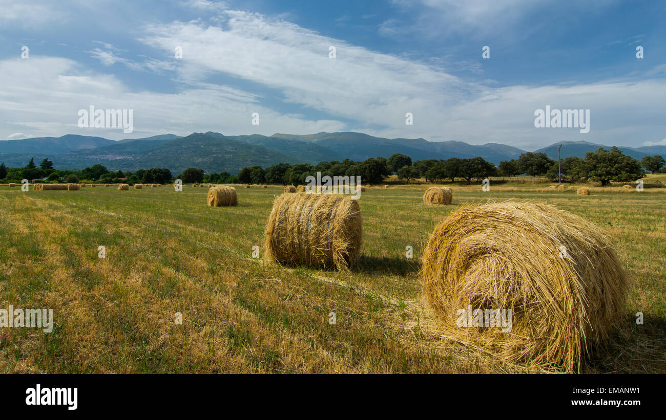 Graphic image straw hi-res stock photography and images - Alamy