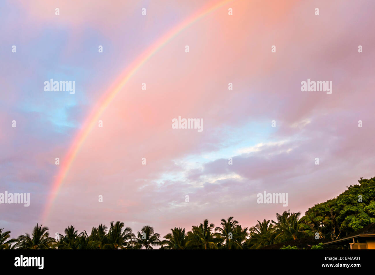 rainbow over the tropical forest in hawaii Stock Photo - Alamy