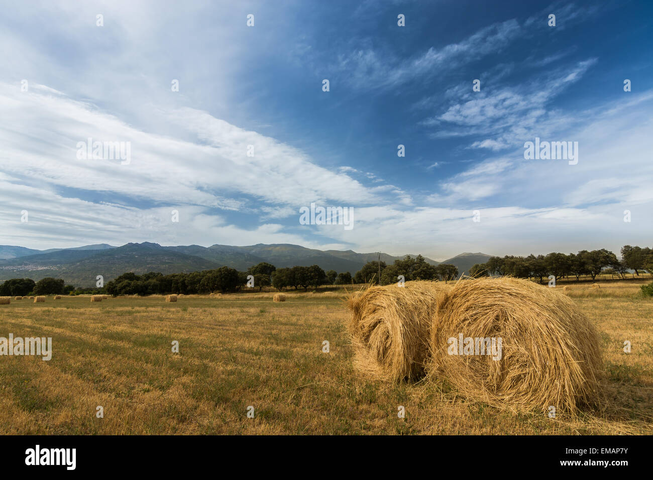 Graphic image straw hi-res stock photography and images - Alamy