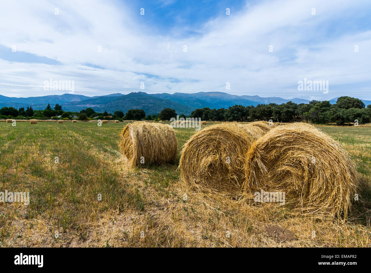 Graphic image straw hi-res stock photography and images - Alamy