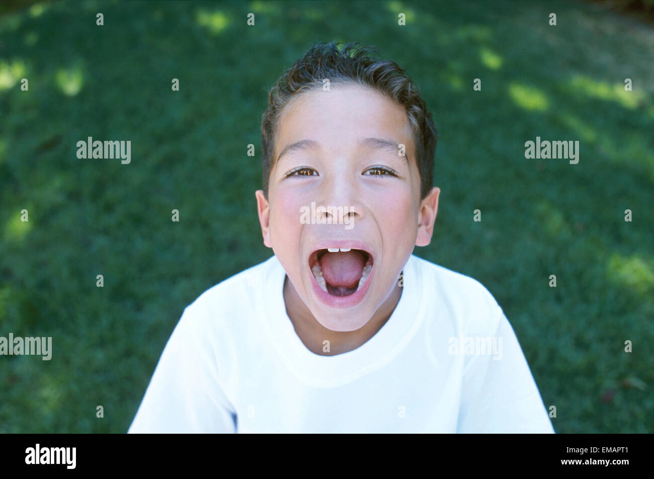 Portrait of exuberant young boy in backyard Stock Photo - Alamy