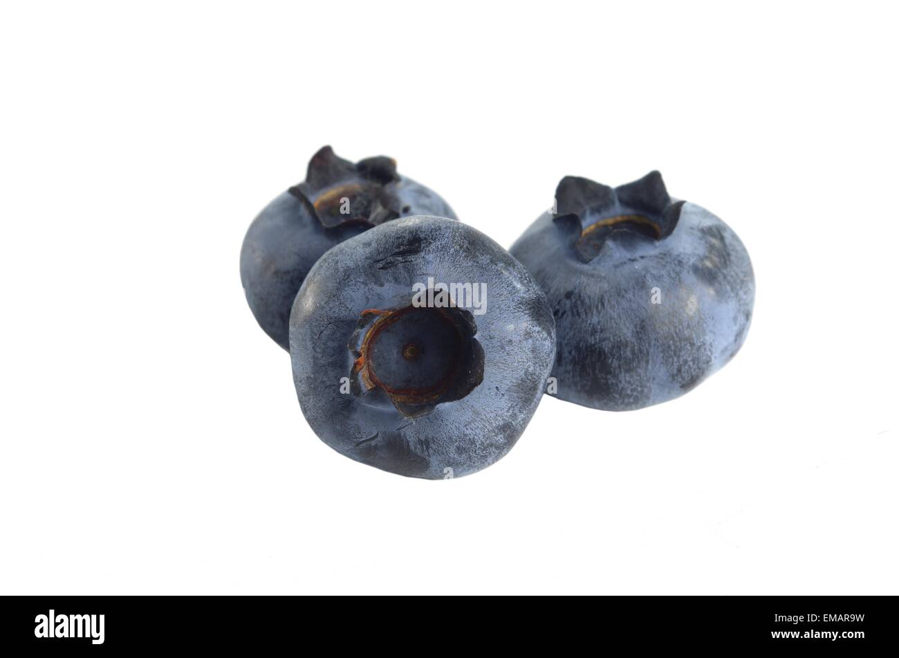 Forest berry Cut Out Stock Images & Pictures - Alamy