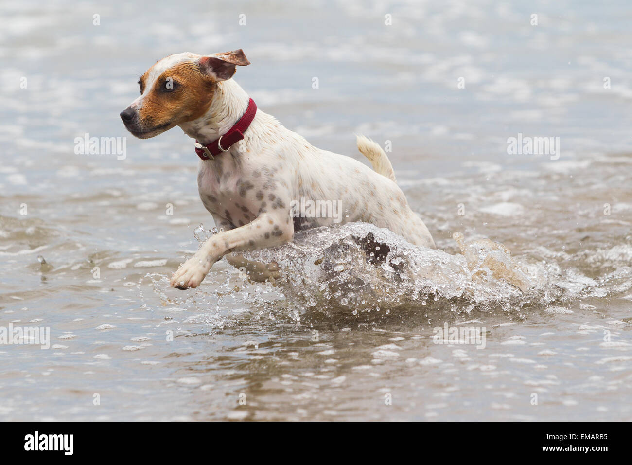 Happy run hi-res stock photography and images - Alamy