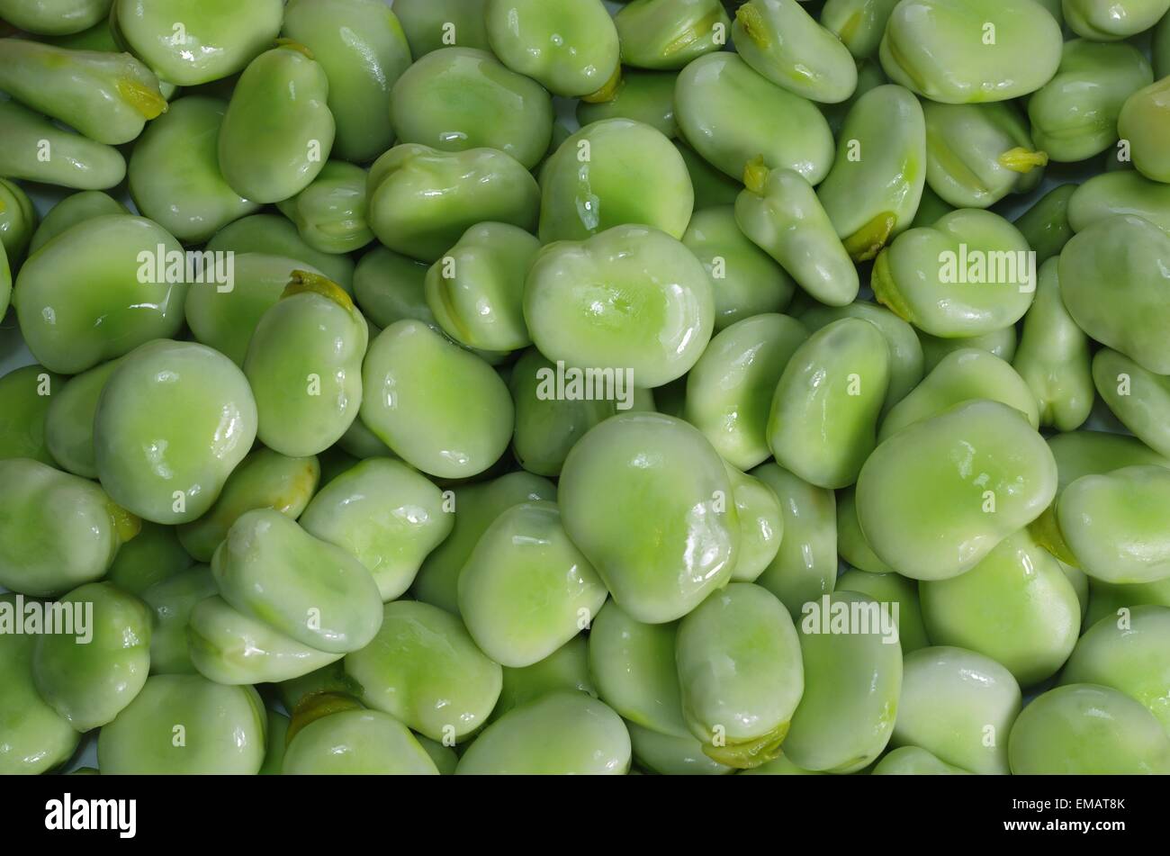 close up of young, tender broad beans, background Stock Photo - Alamy