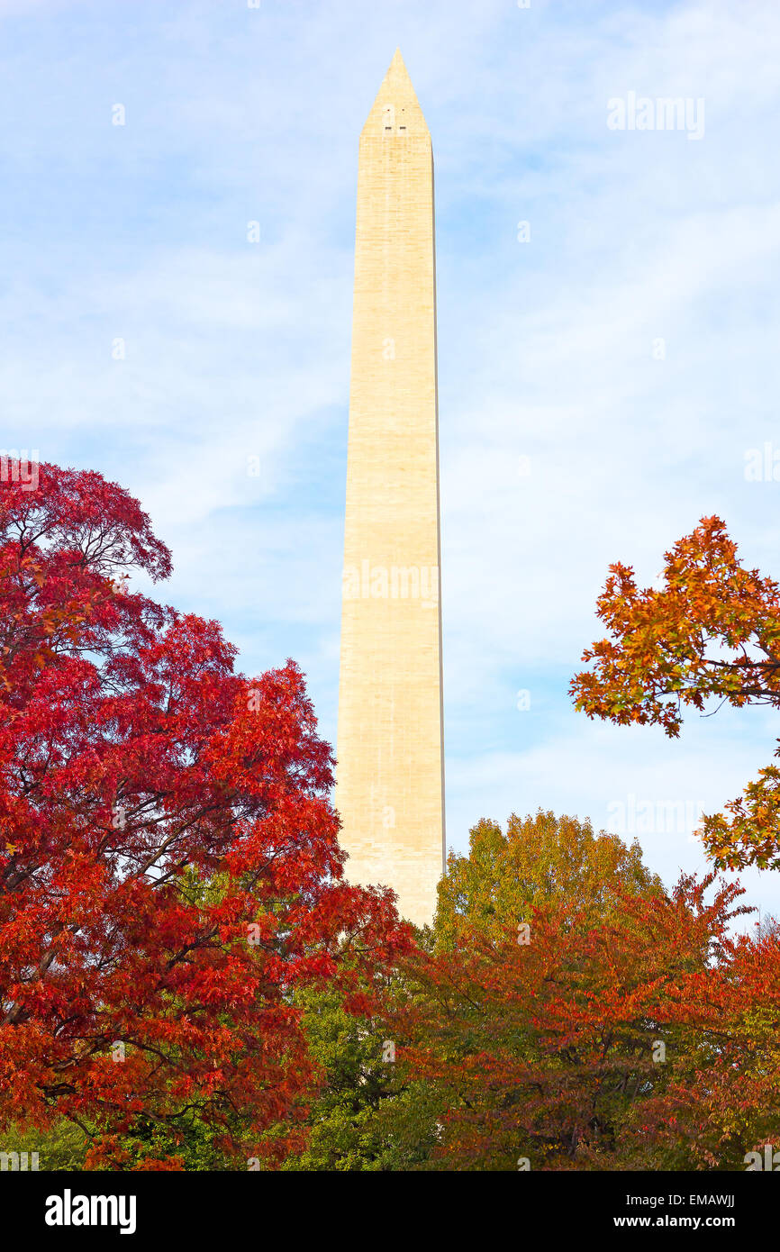Washington Monument surrounded by trees in autumn foliage Stock Photo ...