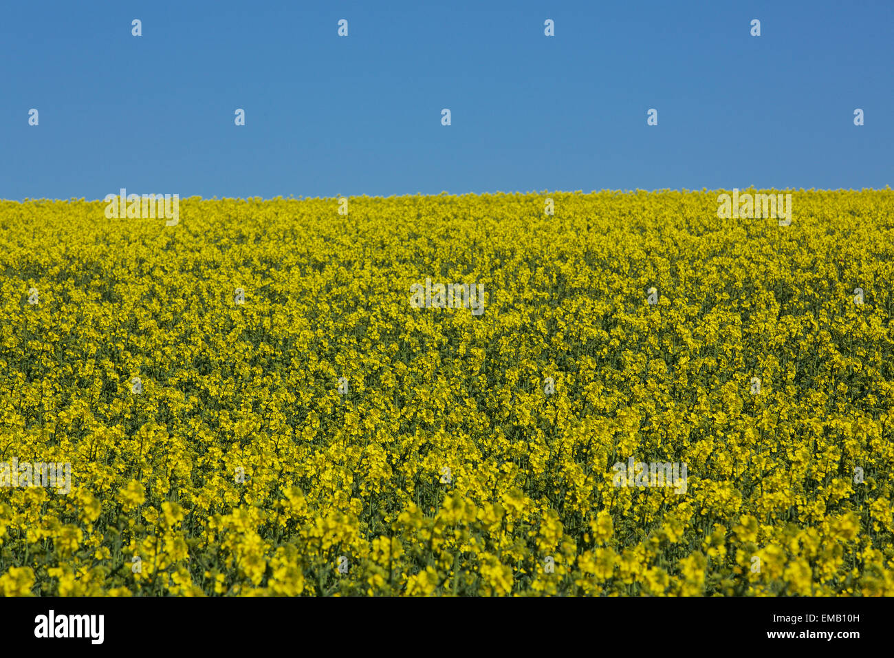 Well defined edge hi-res stock photography and images - Alamy