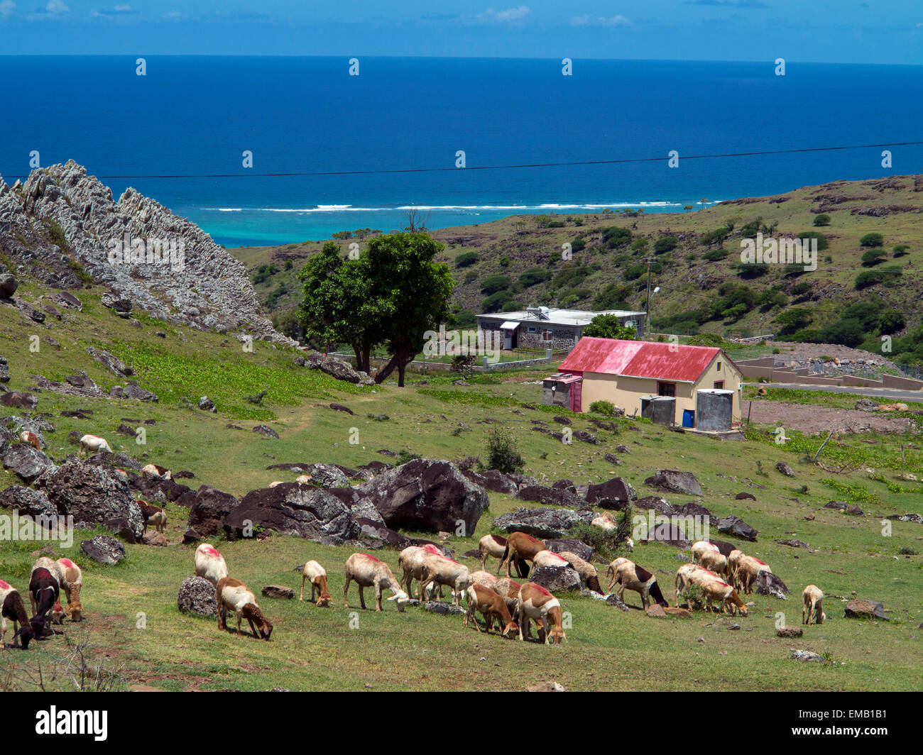 Bergerie road to pointe coton hi-res stock photography and images - Alamy