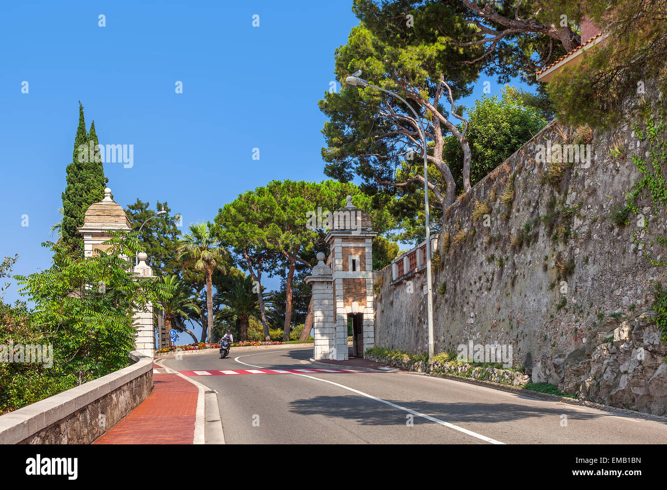 Street with green trees under blue sky in Monaco-Ville, Monaco Stock ...
