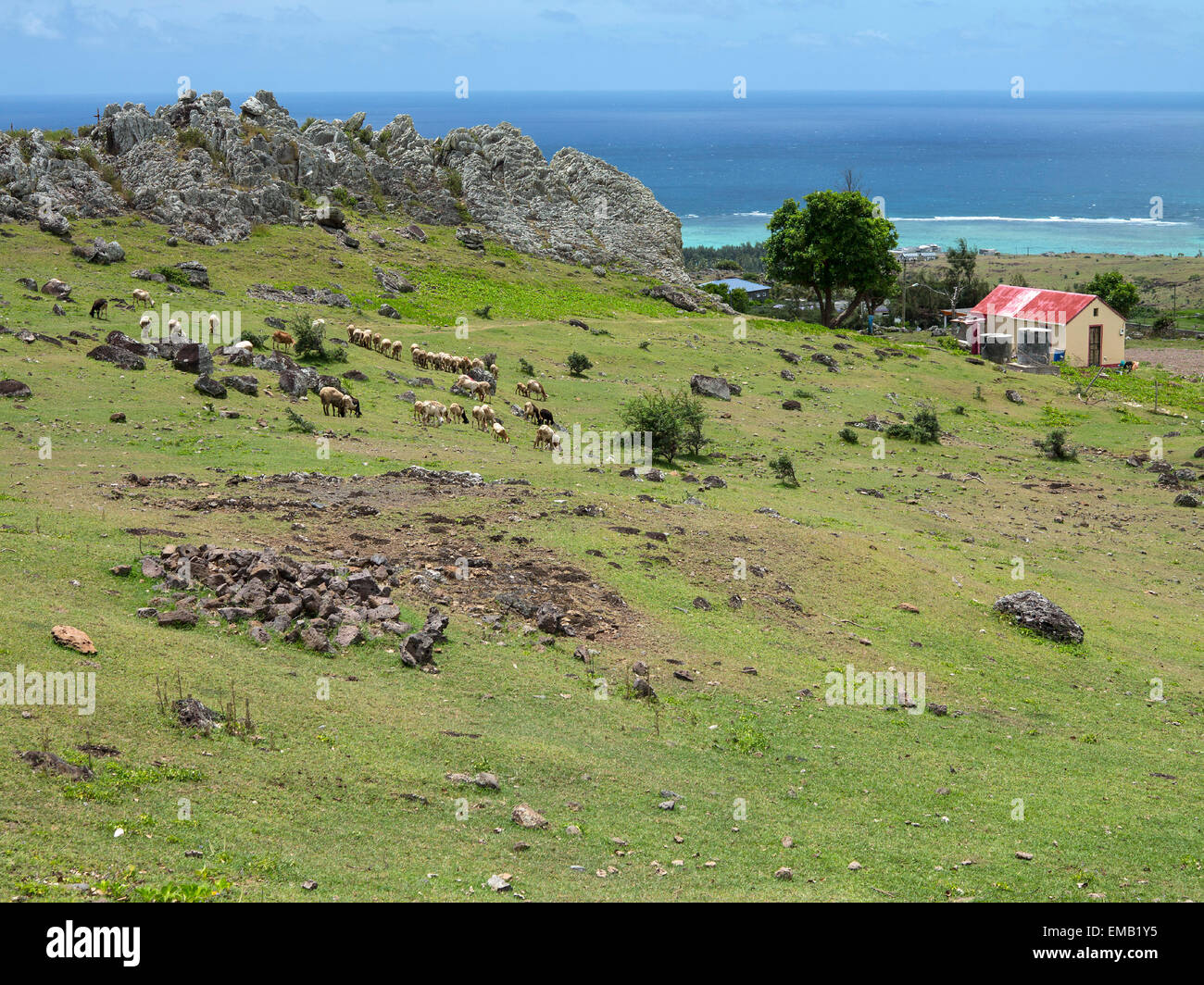 Bergerie road to Pointe Coton, RODRIGUES ISLAND, MAURITIUS Stock Photo ...