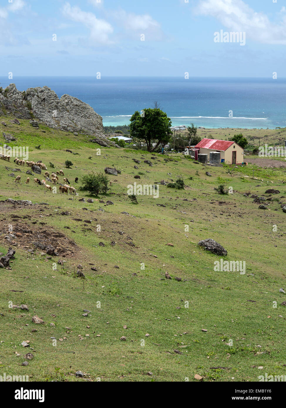 Pointe coton hi-res stock photography and images - Alamy