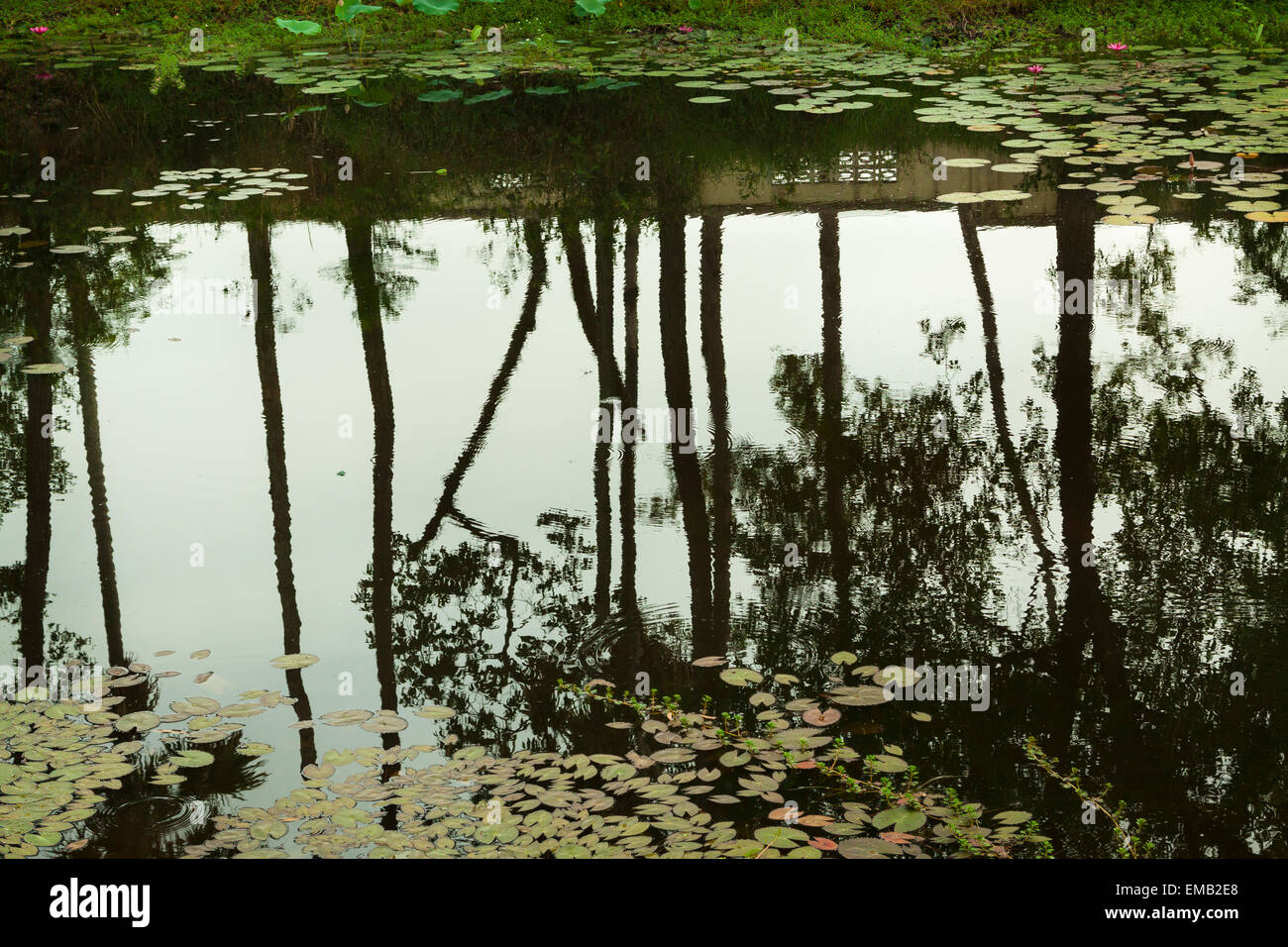 Nature - reflection - scene Stock Photo - Alamy