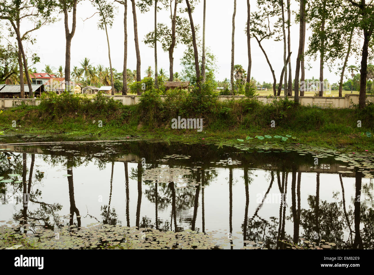 Nature - reflection - scene Stock Photo - Alamy