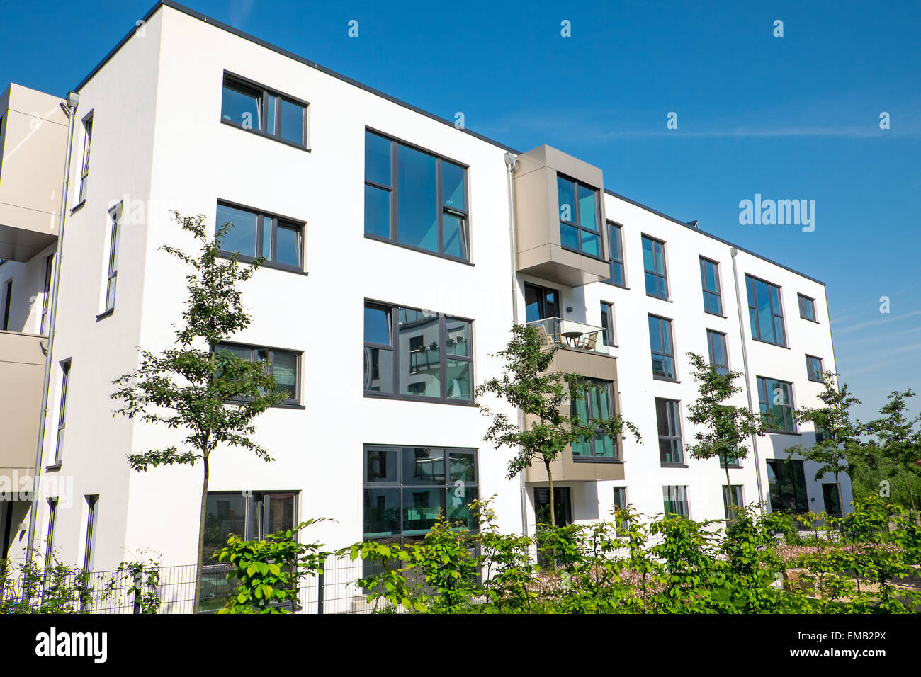 A modern white apartment house with small trees in the foreground Stock ...