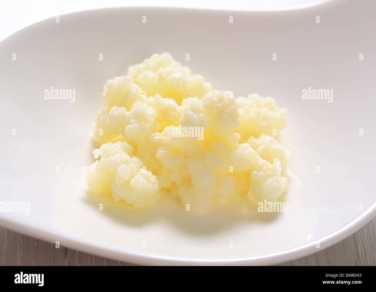 Organic probiotic milk kefir grains Stock Photo - Alamy
